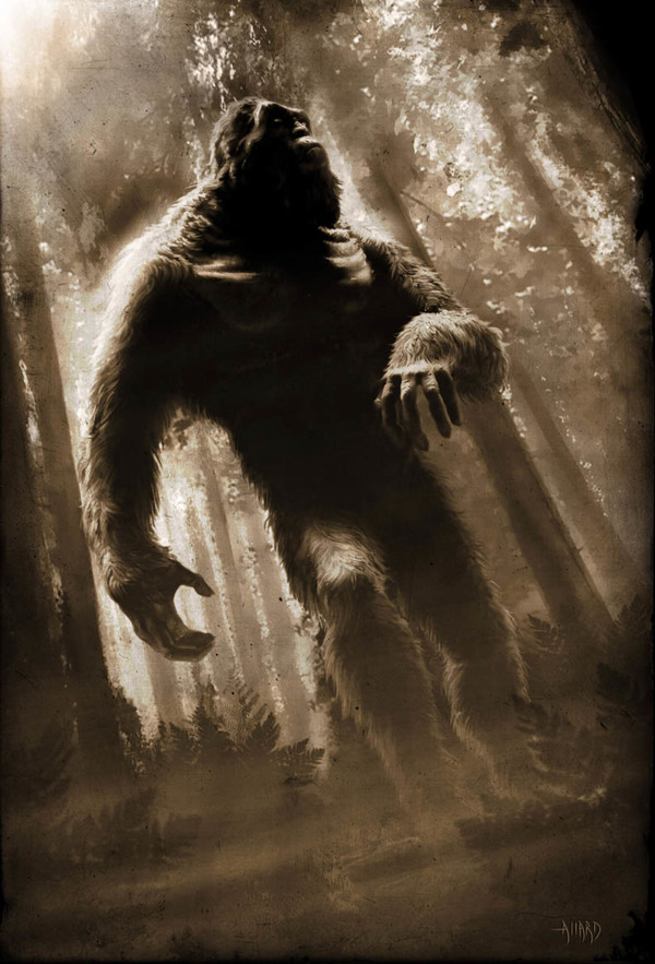 Sasquatch Cryptid Wiki Fandom Powered By Wikia