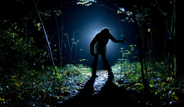 Rougarou Cryptid Wiki Fandom Powered By Wikia