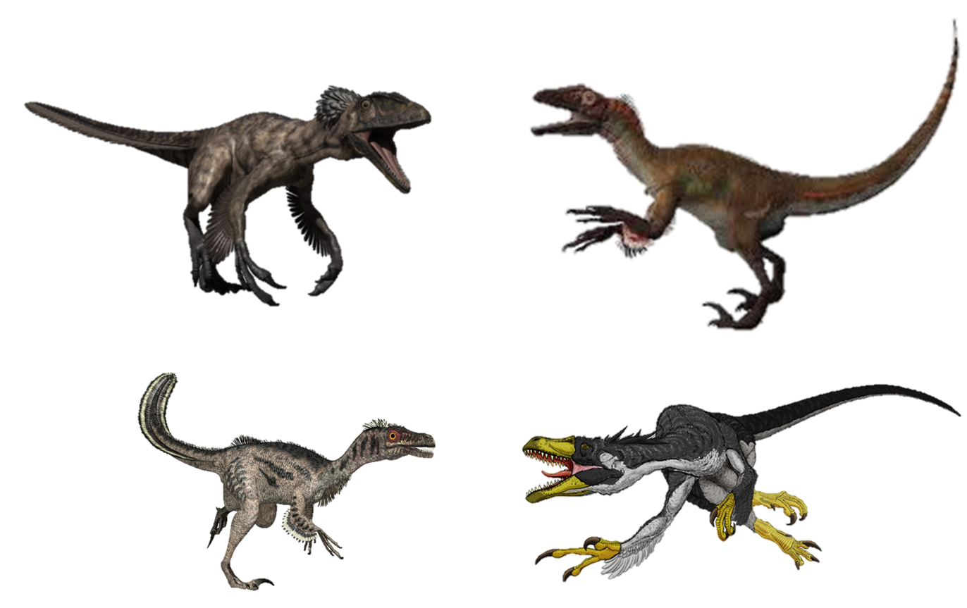 Deinonychosauria Dinopedia Fandom Powered By Wikia