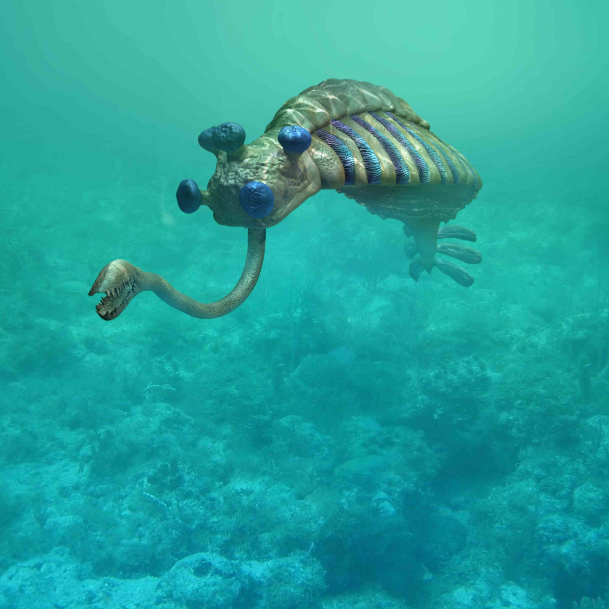 Opabinia Dinopedia Fandom Powered By Wikia