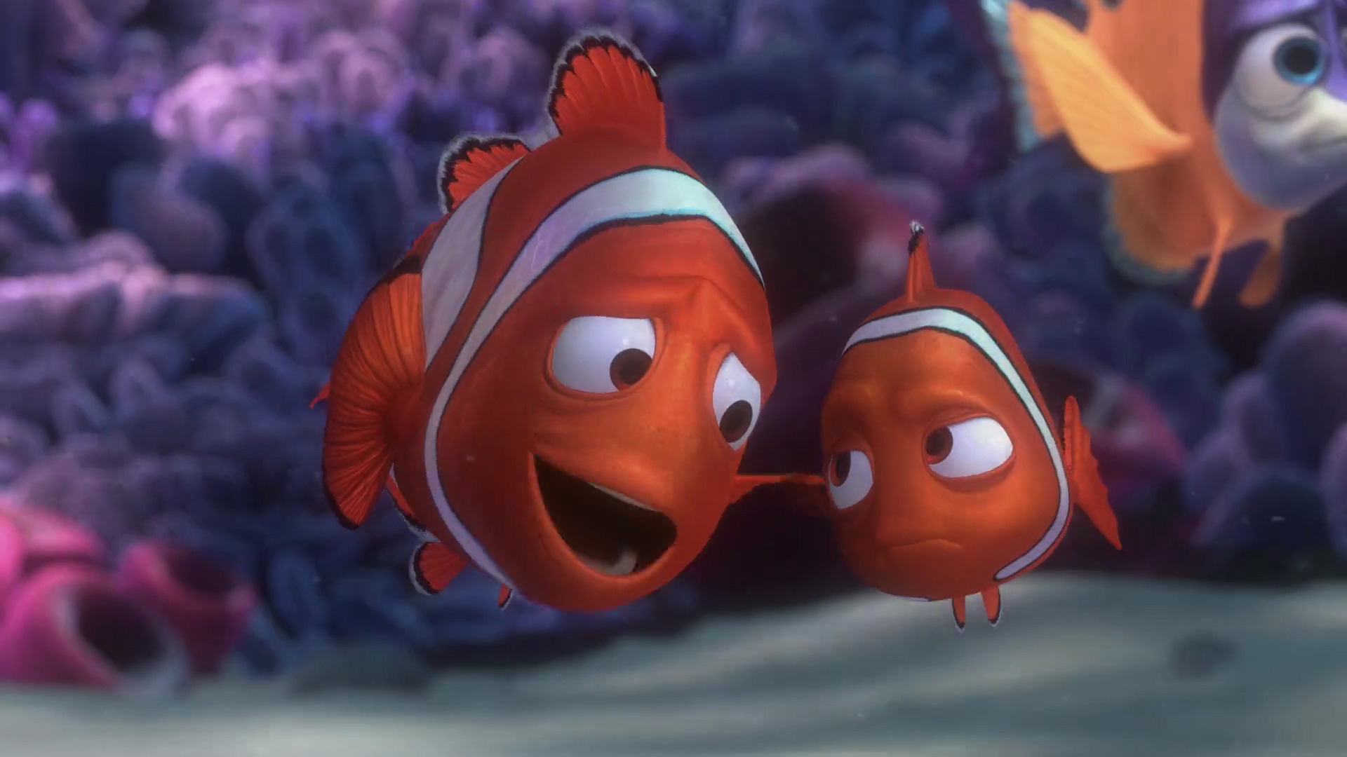 Image Finding Nemo 879 Disney Wiki Fandom Powered By Wikia
