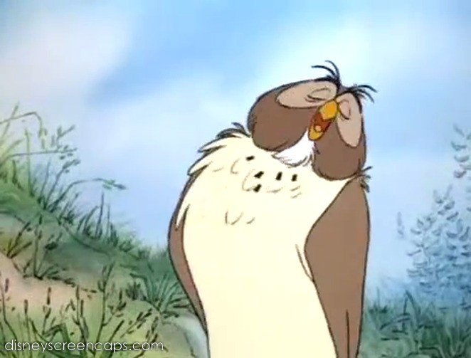 Category:Owls | Disney Wiki | FANDOM powered by Wikia Category:Owls | Disney Wiki | FANDOM powered by Wikia