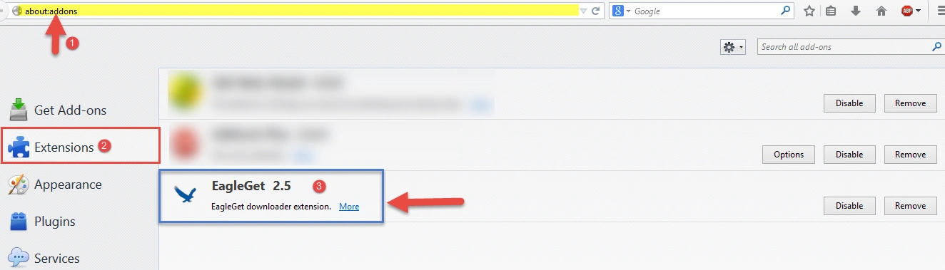 Eagleget Official Website