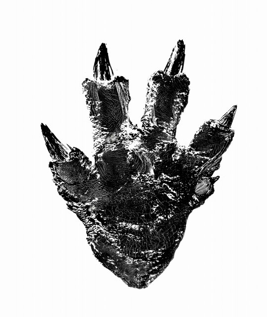 Shin Godzilla Gojipedia Fandom Powered By Wikia