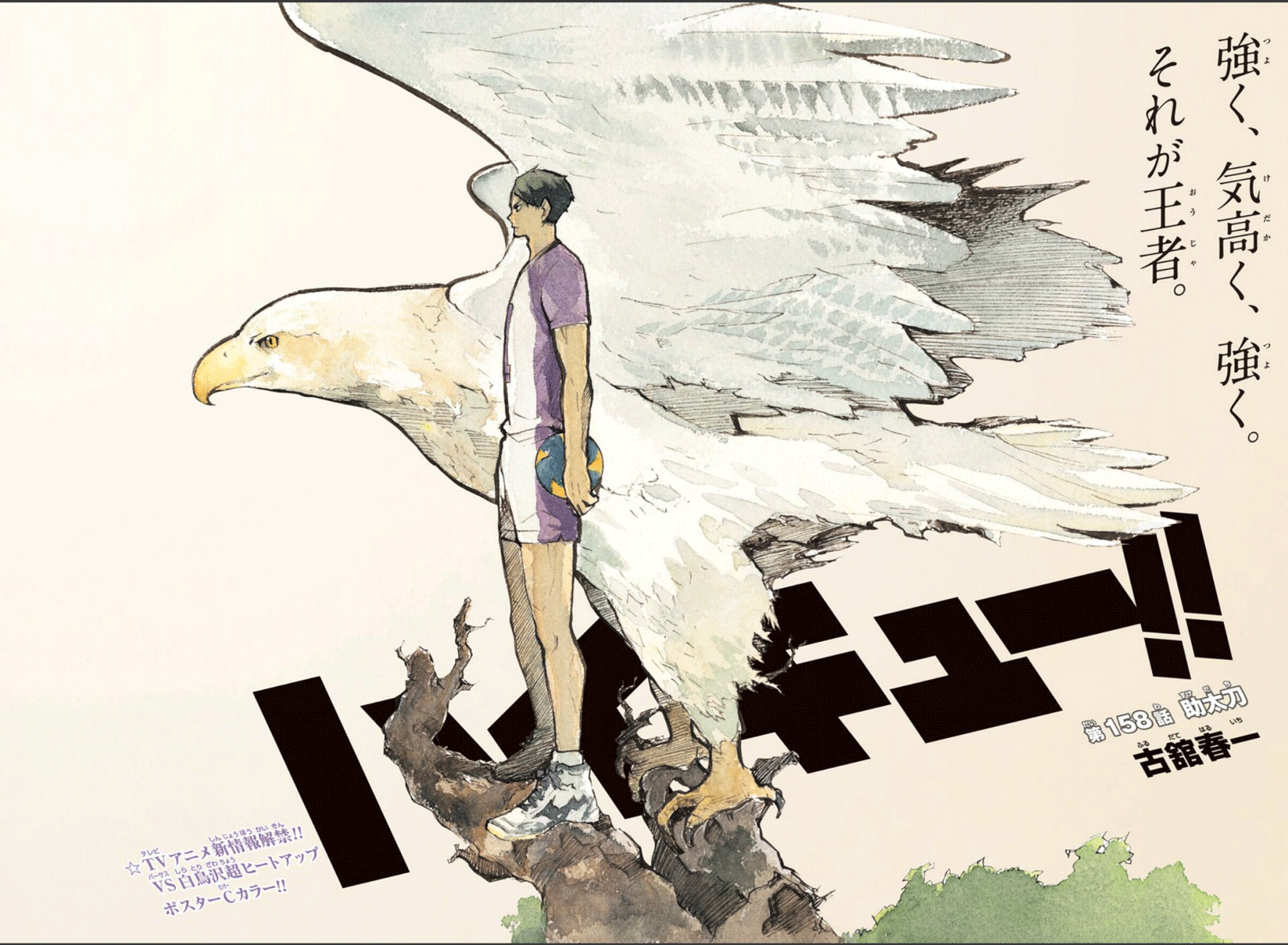 Support Haikyuu Wiki Fandom Powered By Wikia