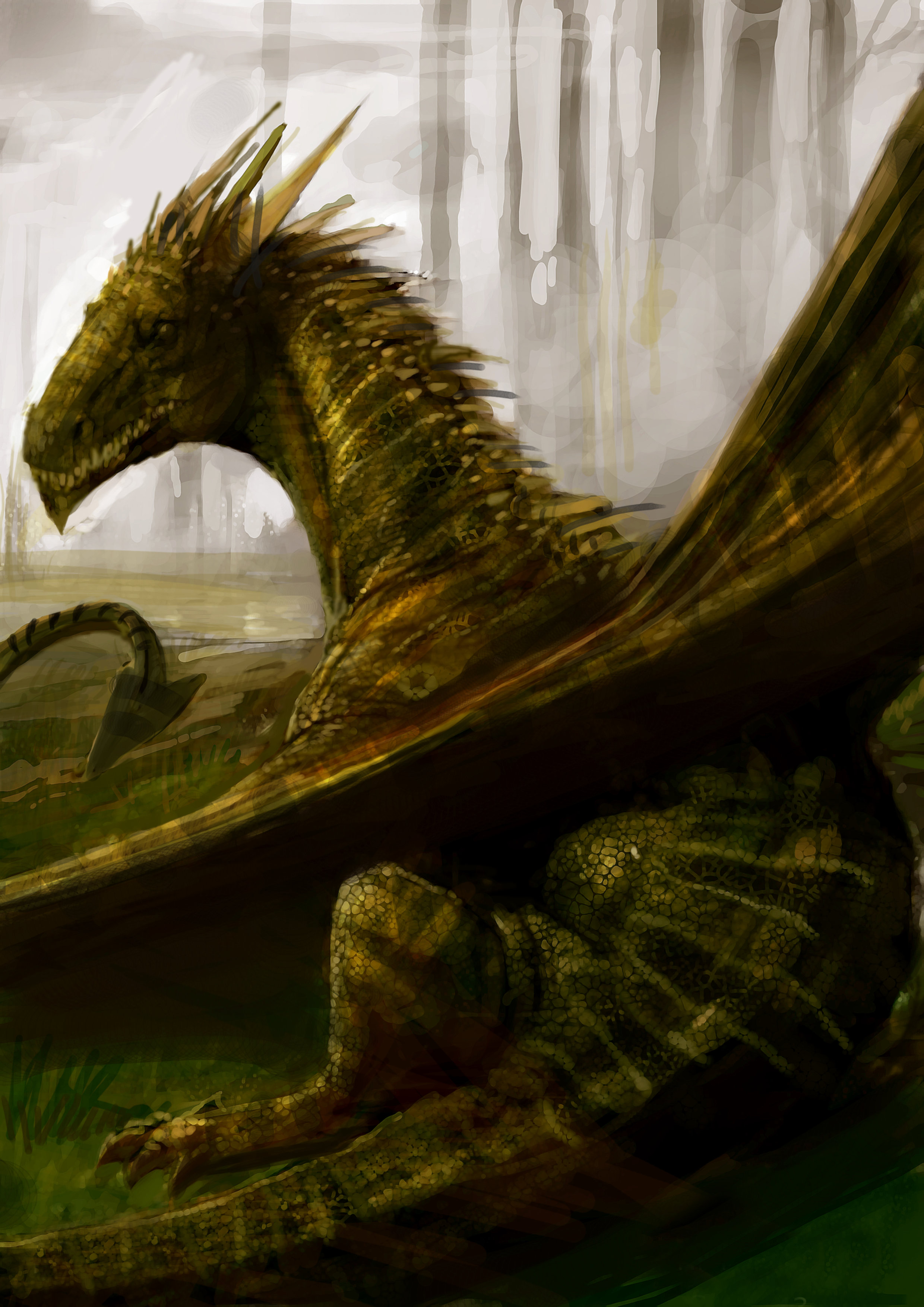 Common Welsh Green | Harry Potter Wiki | Fandom powered by Wikia Common Welsh Green | Harry Potter Wiki | Fandom powered by Wikia