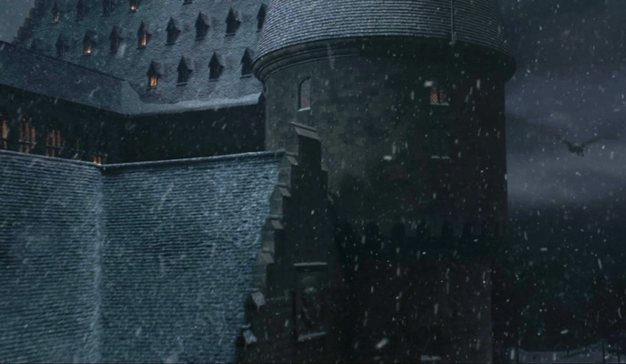 Image Owl Flying To Gryffindor Tower Harry Potter Wiki Fandom Powered By Wikia