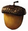 Scrat's acorn - Ice Age Wiki Scrat's acorn - Ice Age Wiki