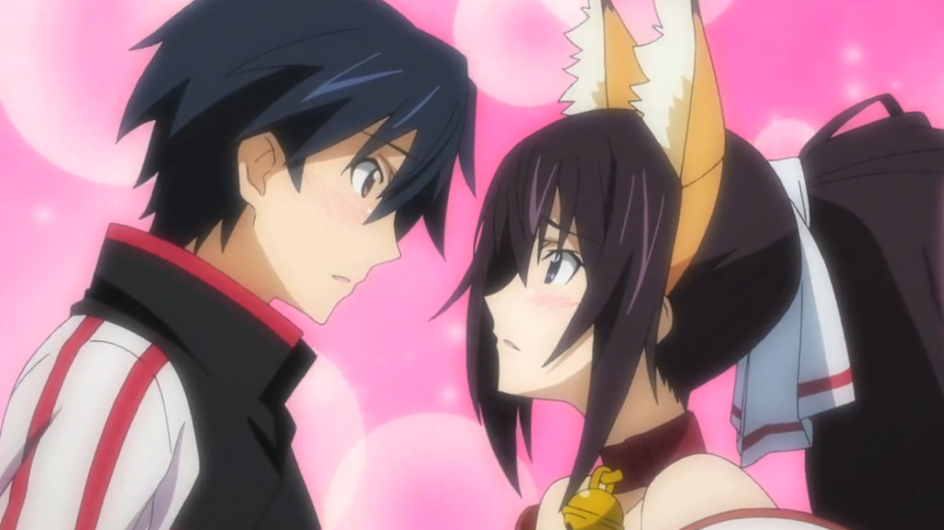 Lovely Style Infinite Stratos Wiki Fandom Powered By Wikia