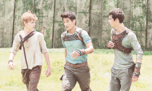 Image - Newt Minho Thomas.png | The Maze Runner Wiki | FANDOM powered by Wikia
