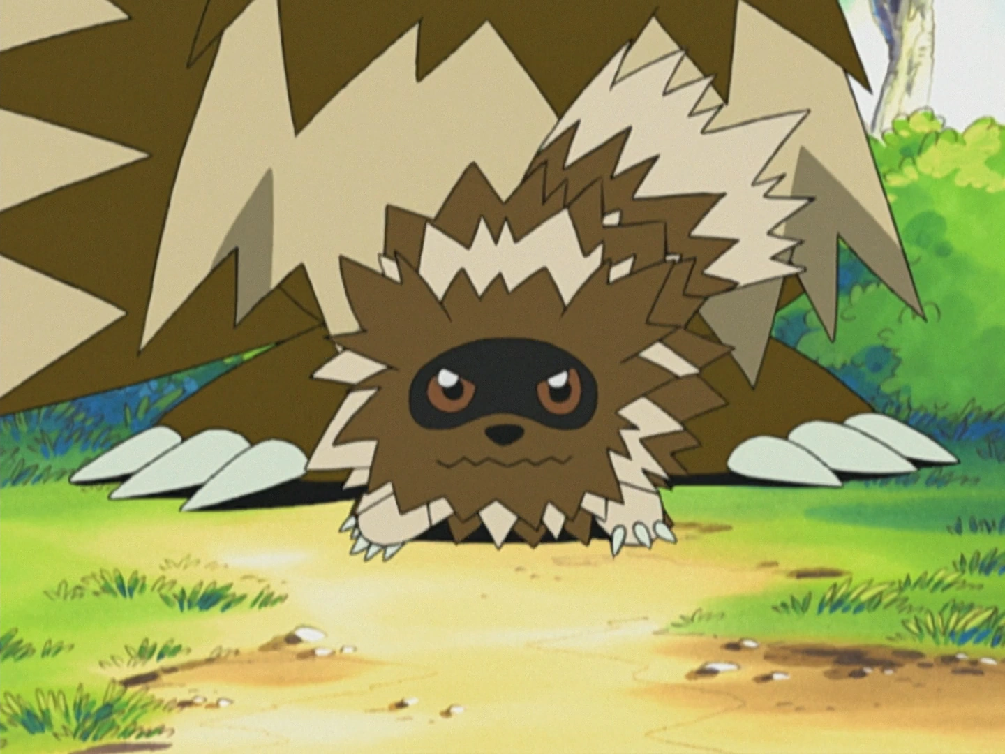 Zigzagoon Pokmon Wiki Wikia