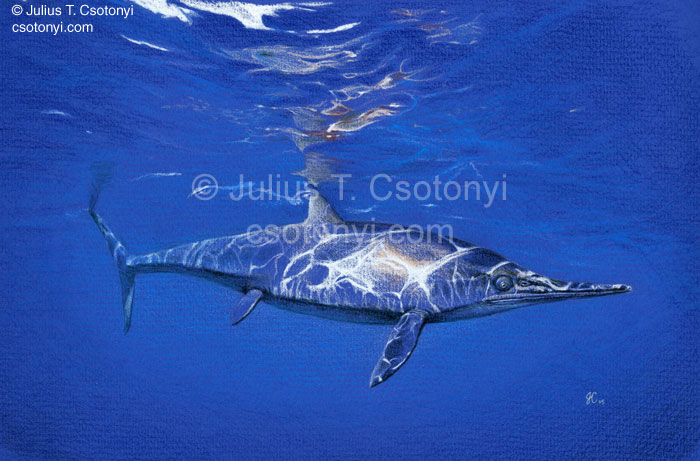Ichthyosaurus Wiki Prehistórico Fandom Powered By Wikia