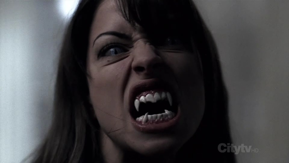 Werewolf Supernatural Wiki Fandom Powered By Wikia