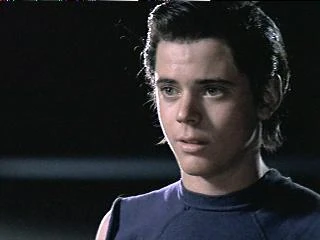 Ponyboy Curtis | The Outsiders Wiki | Fandom powered by Wikia
