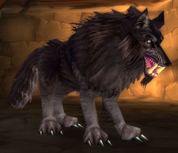 Blackrock Worg Wowwiki Fandom Powered By Wikia