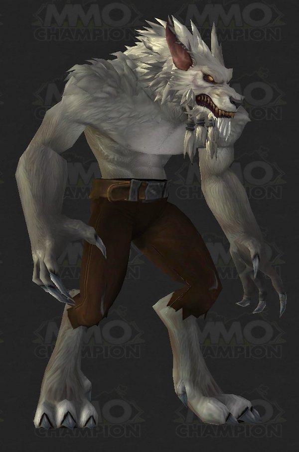 Genn Greymane Wowwiki Fandom Powered By Wikia