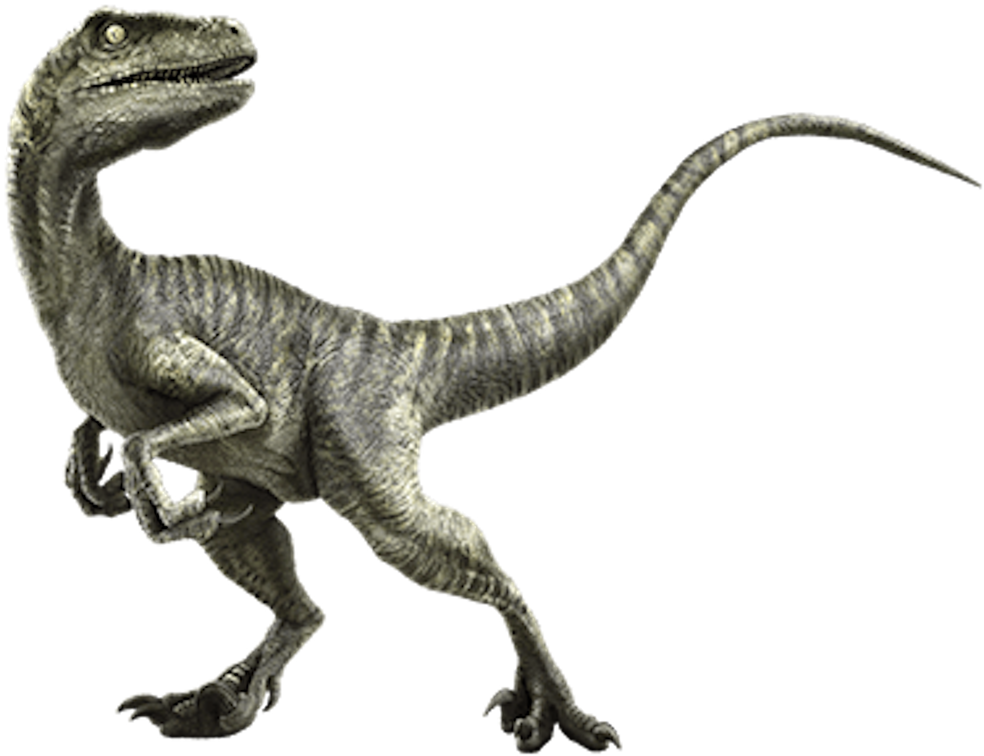 Charlie Velociraptor Yunas Princess Adventure Wikia Fandom Powered By Wikia