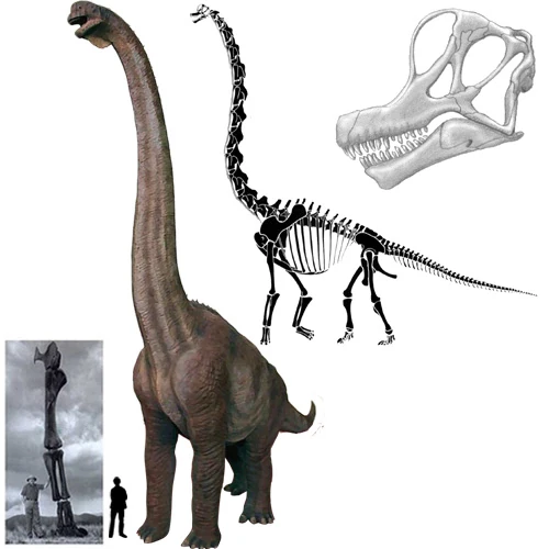 Archivo:Braquiosaurio.jpg | Wiki ACAM | Fandom powered by Wikia