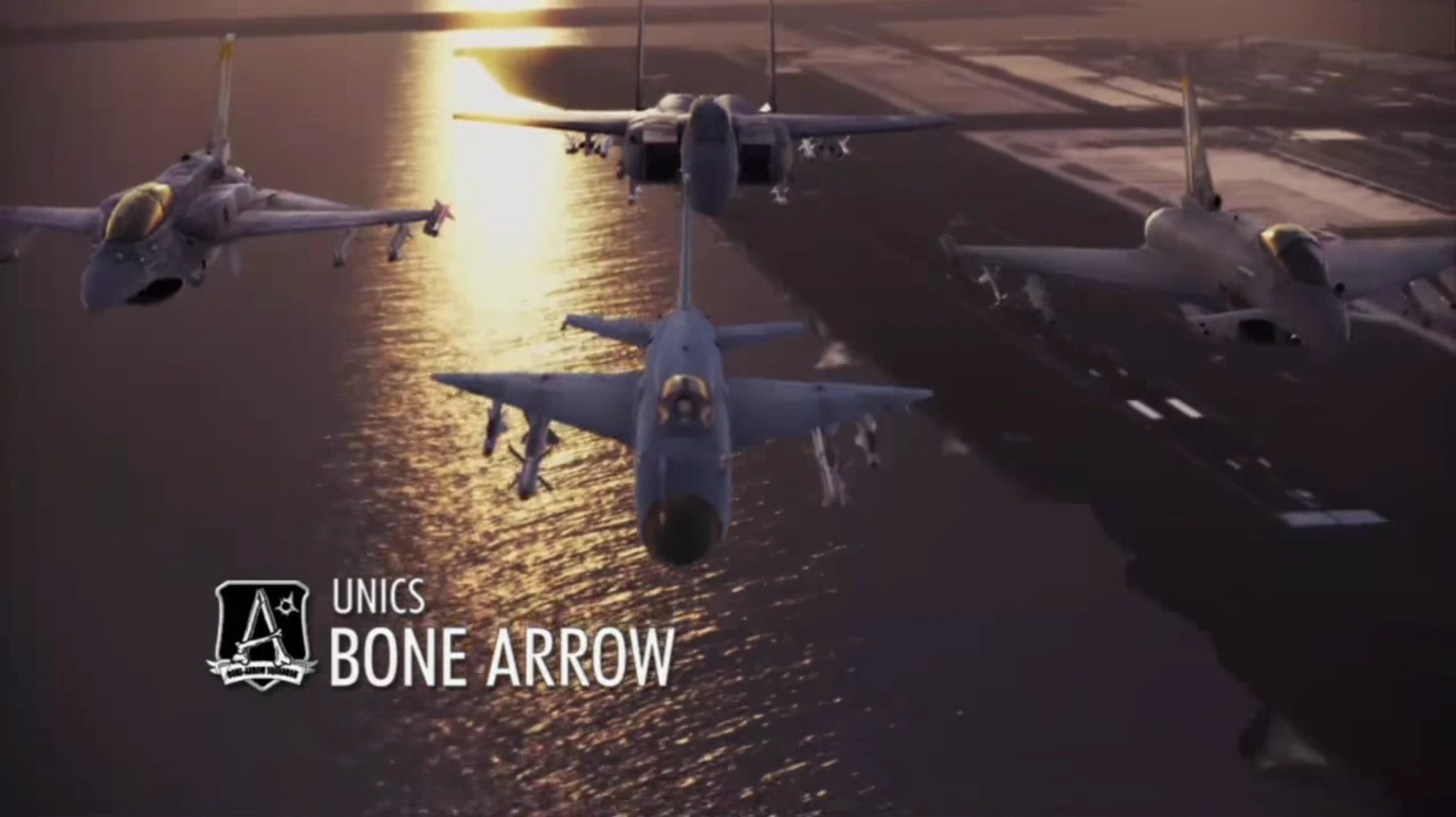Bone Arrow Squadron | Acepedia | FANDOM powered by Wikia