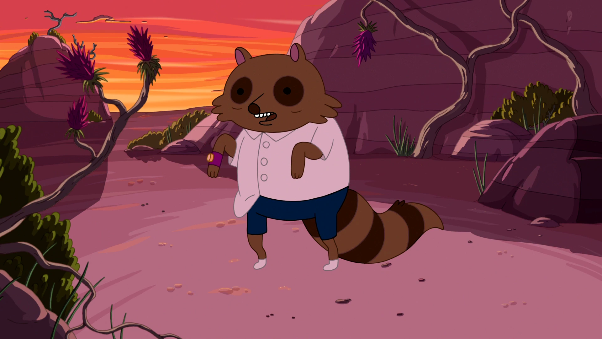 Image - S5e50 raccoon.png | Adventure Time Wiki | FANDOM powered by Wikia