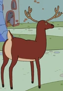 Stag | Adventure Time Wiki | Fandom powered by Wikia
