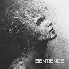 Sentience | Life, the Universe and Everything Wiki | FANDOM powered by ...