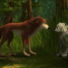 Omega Wolves | Alpha and Omega Wiki | Fandom powered by Wikia