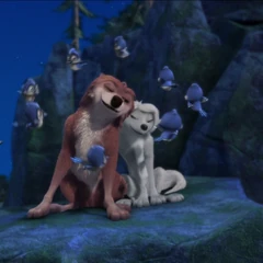 Omega Wolves | Alpha and Omega Wiki | Fandom powered by Wikia