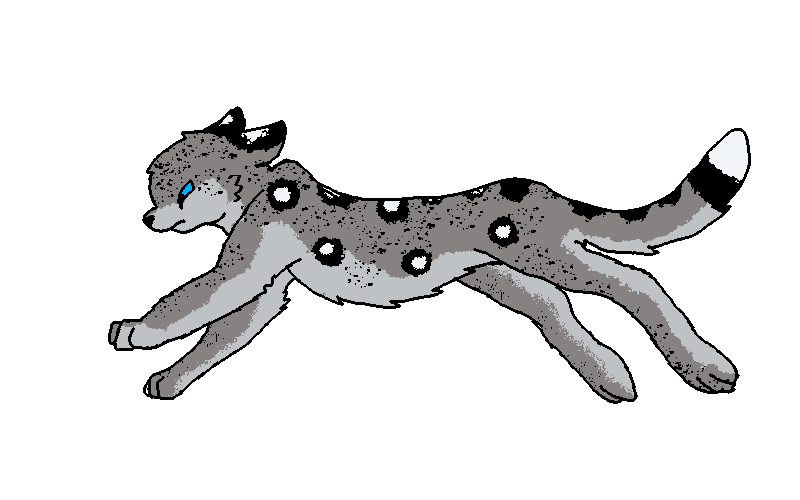 Image - Snow leopard running animation by gominola1607-d6alh3e.gif ...