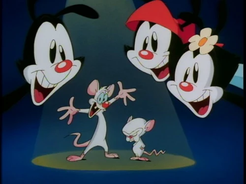 Image - Animaniacs opening.jpg | Animaniacs Wiki | FANDOM powered by Wikia