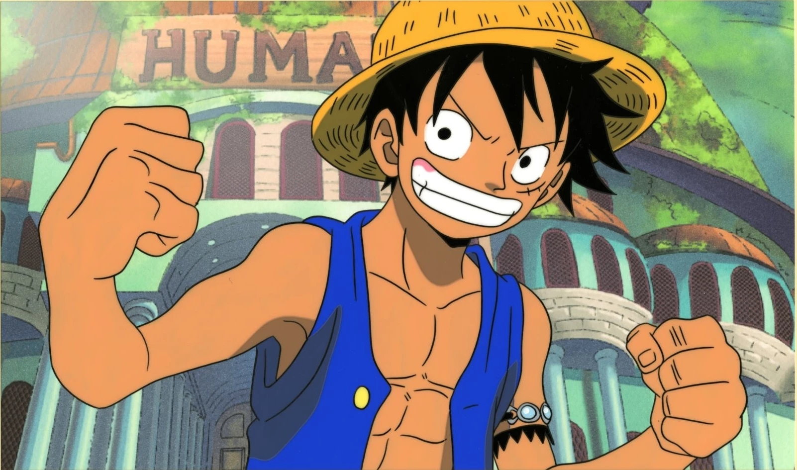 Monkey D. Luffy | Wiki Animapedia | Fandom powered by Wikia