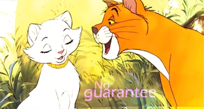 Animash Wiki | Fandom powered by Wikia