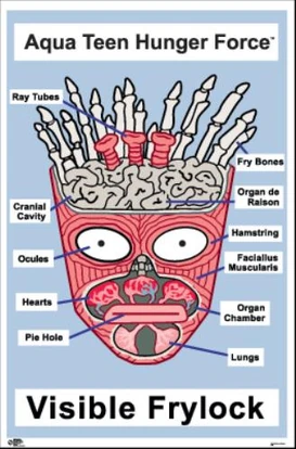 Visible Frylock - The Aqua Teen Hunger Force Wiki
