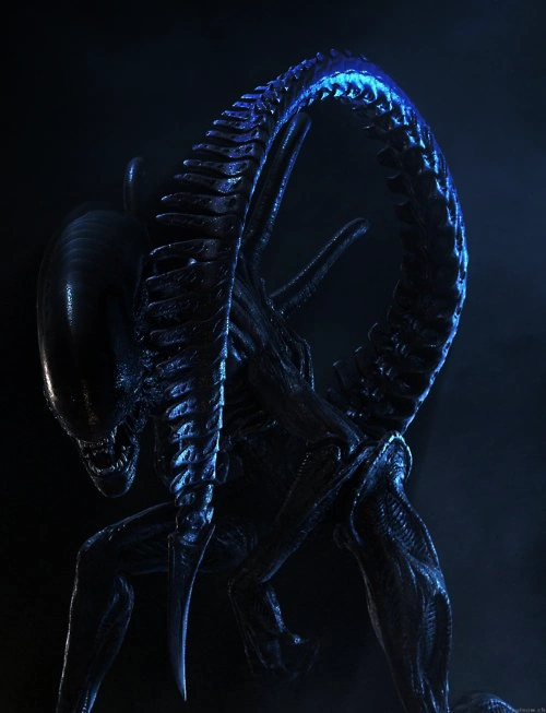 Xenomorphs Villains Wiki Fandom Powered By Wikia