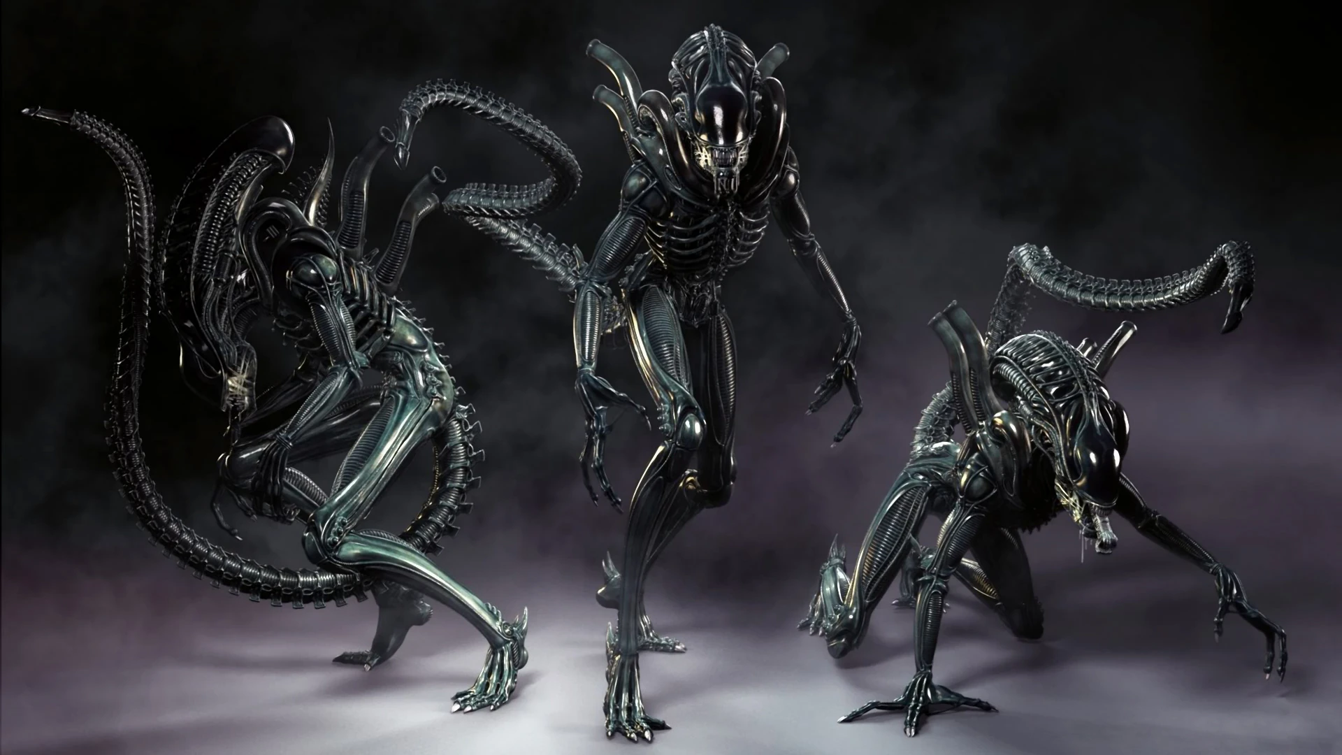 Image - Xenomorph alien aliens desktop 1920x1080 hd-wallpaper-862277 ...