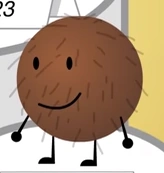 Coconut | Battle for Dream Island Wiki | Fandom powered by Wikia