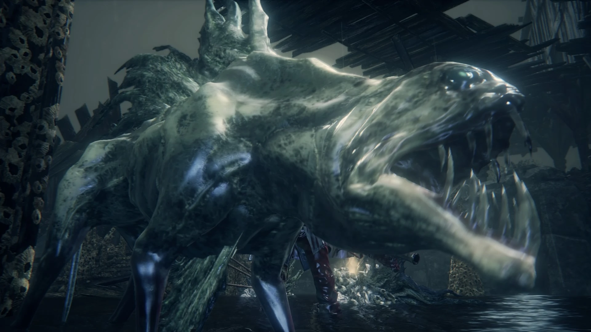 Fish Dog | Bloodborne Wiki | Fandom powered by Wikia