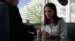 Lydia Rodarte-Quayle | Breaking Bad Wiki | Fandom powered by Wikia