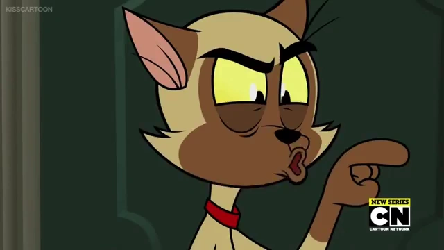 Chester | Bunnicula Wiki | FANDOM powered by Wikia