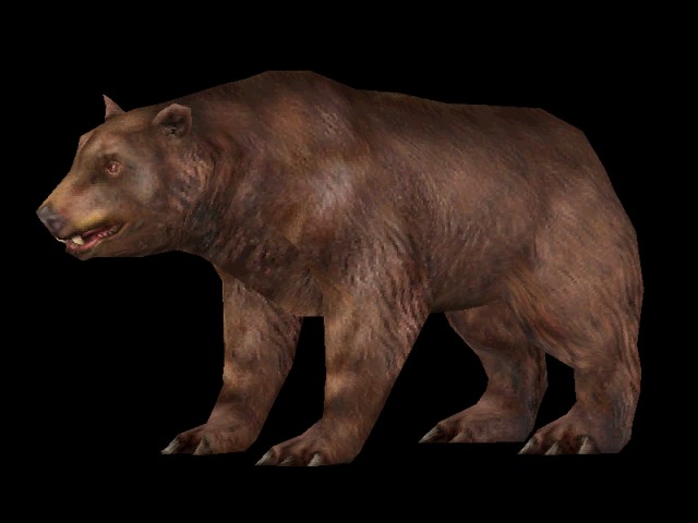 Bear Carnivores Wiki Fandom Powered By Wikia