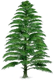 Archaeopteris | Cool Dino Facts Wiki | Fandom powered by Wikia