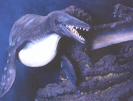 Manitou | Cryptid Wiki | Fandom powered by Wikia