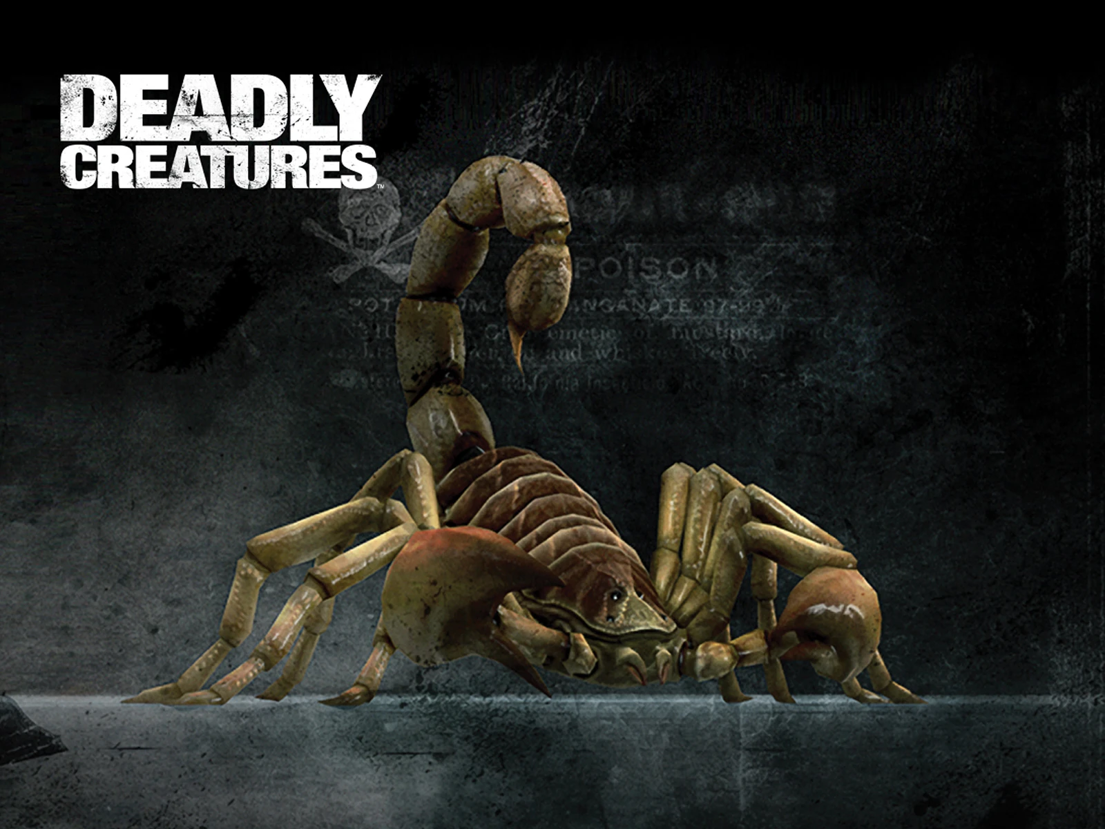Scorpion | Deadly Creatures Wiki | Fandom powered by Wikia