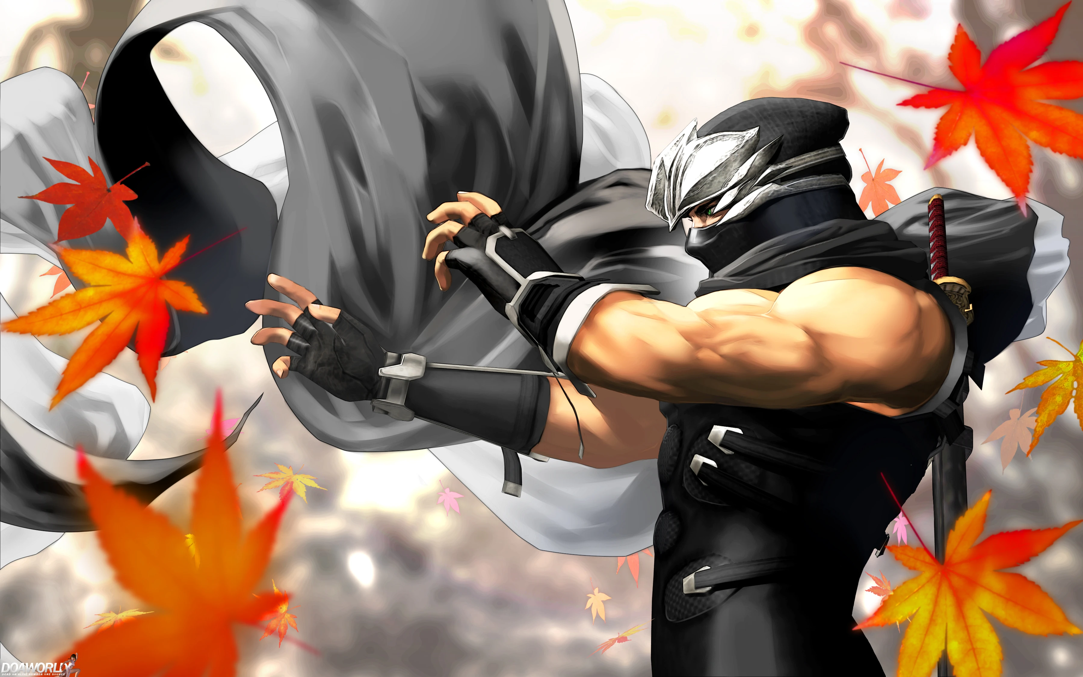 Newcomer - [WIP] The Ultimate Ninja - Ryu Hayabusa for Smash for Switch ...