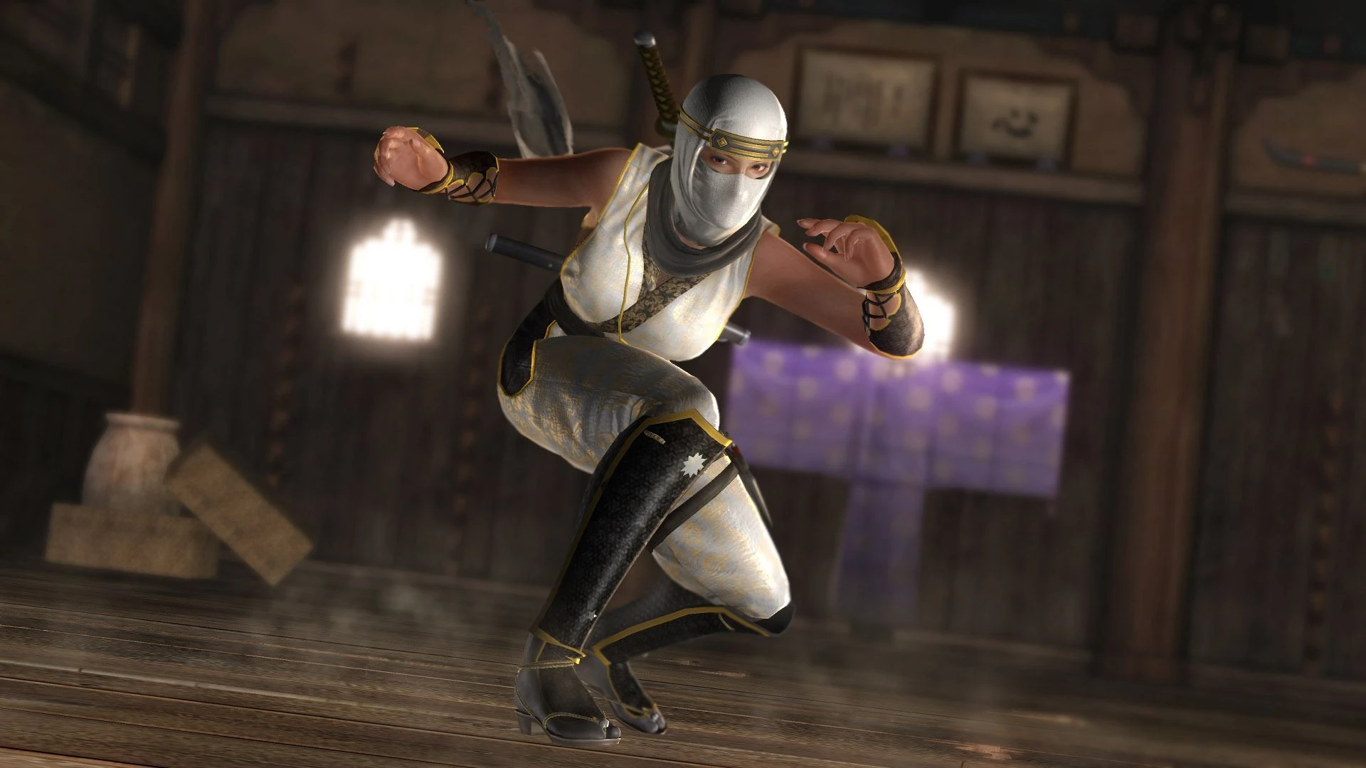 Image - DOA5LR Lisa Ninja3.jpg | Dead or Alive Wiki | FANDOM powered by ...