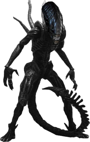 Xenomorphs | Death Battle Fanon Wiki | FANDOM powered by Wikia