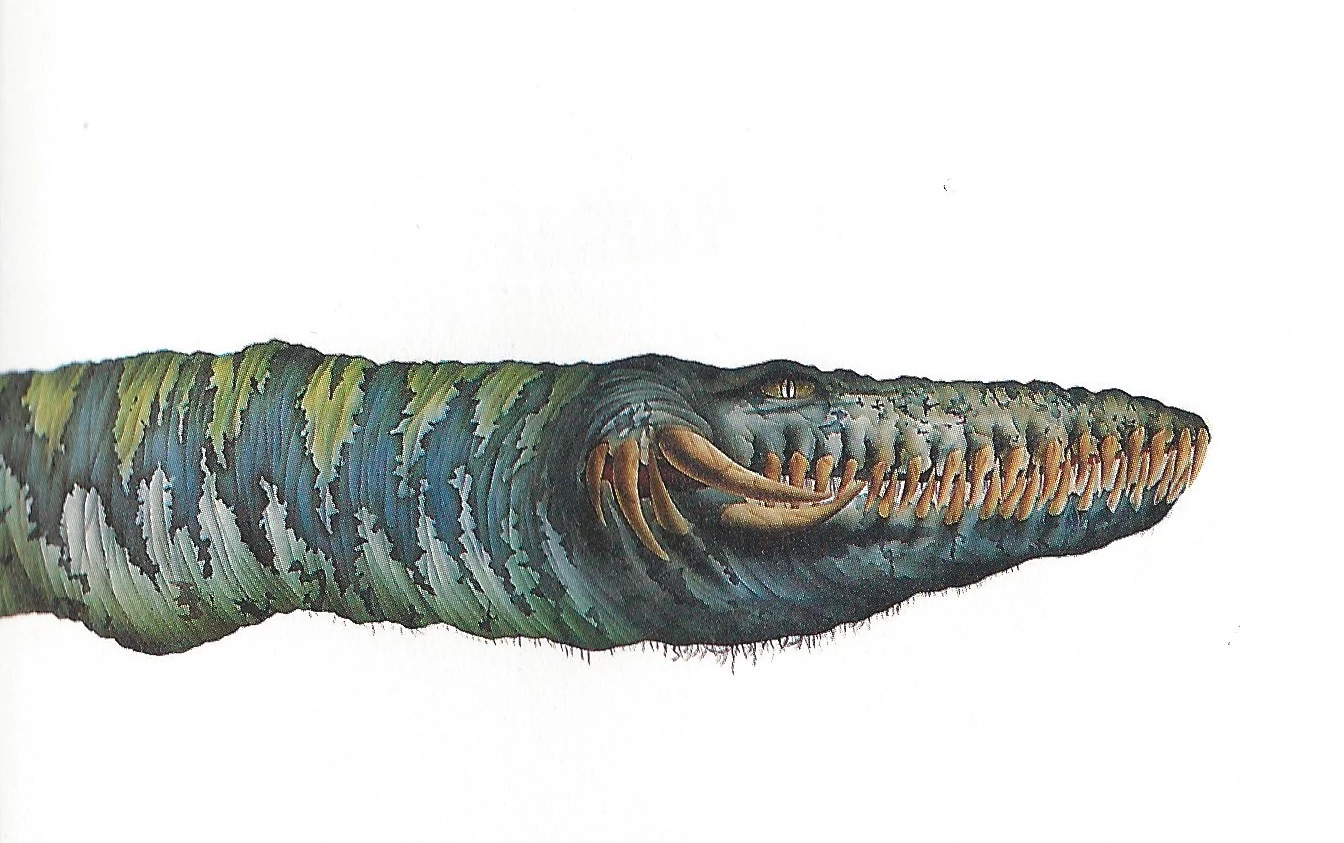 Wennbar | Deltora Quest Wiki | Fandom powered by Wikia