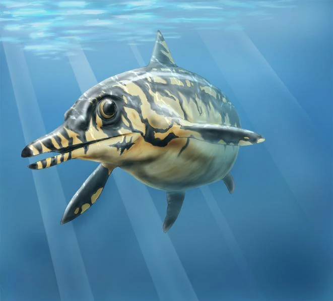 Ophthalmosaurus | Dinosaur Wiki | Fandom powered by Wikia