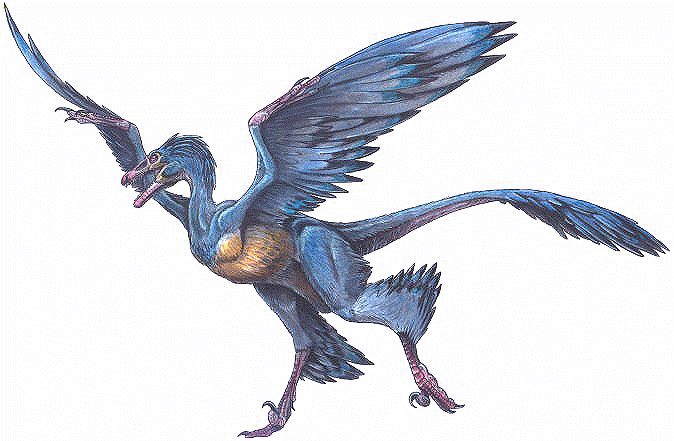 Microraptor | Dinosaur Wiki | Fandom powered by Wikia