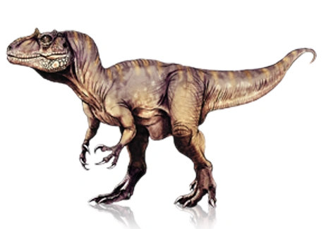Piatnitzkysaurus | Dinosaur Wiki | Fandom powered by Wikia